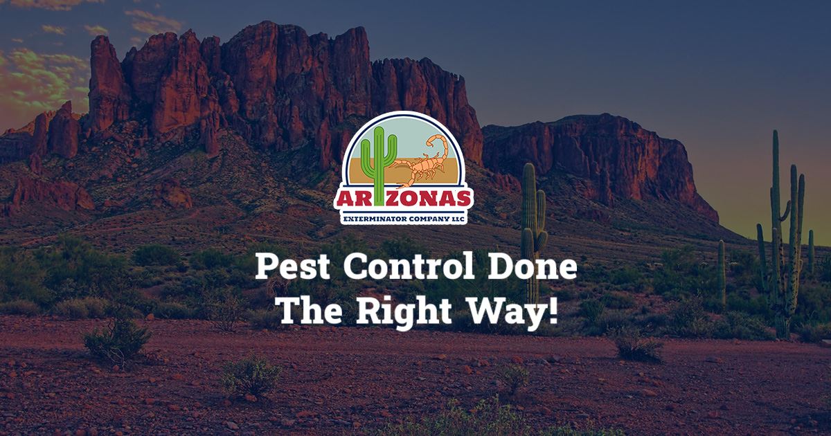 Phoenix Pest Control | Arizona's Exterminator Company LLC
